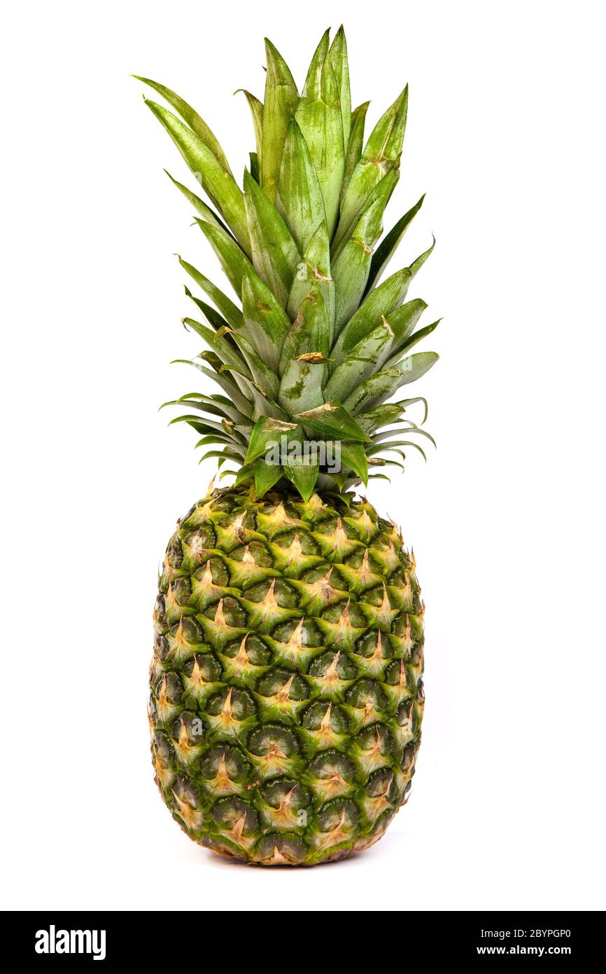 Single pineapple isolated on white Stock Photo - Alamy