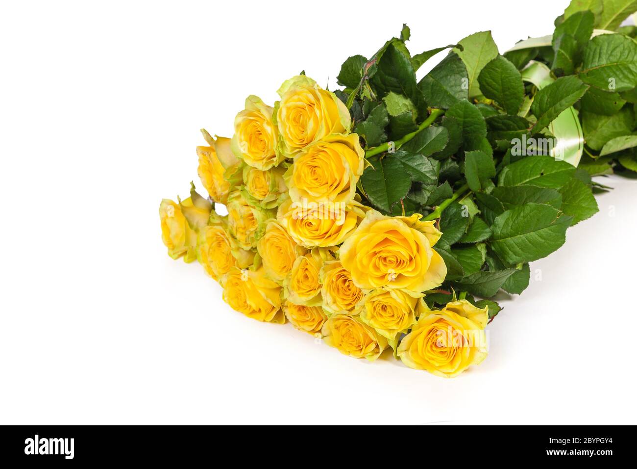 Group of fresh yellow roses Stock Photo - Alamy