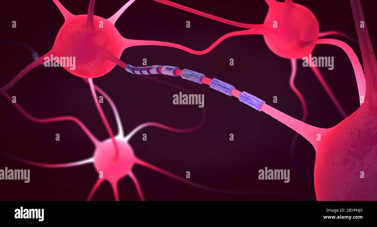 Connected nerve cells or neurons - 3d illustration Stock Photo - Alamy