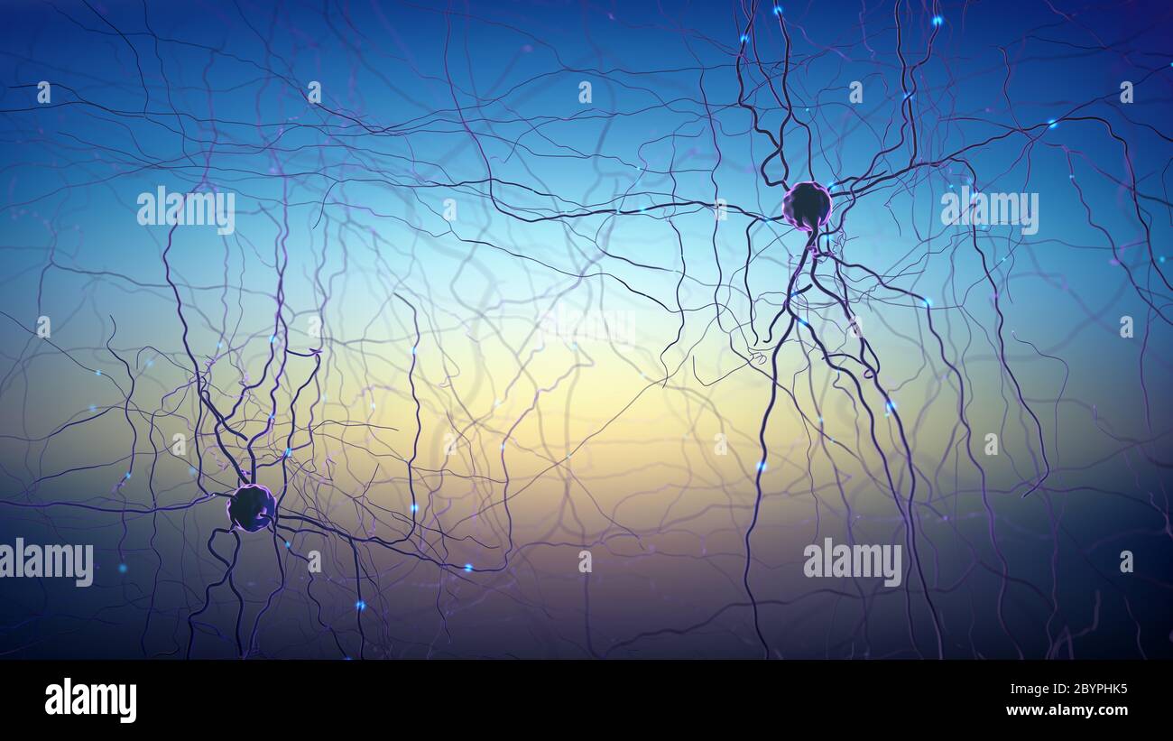 Signal transmitting neuron or nerve cell- 3d illustration Stock Photo ...