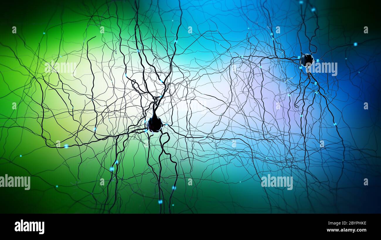 Signal transmitting neuron or nerve cell- 3d illustration Stock Photo ...