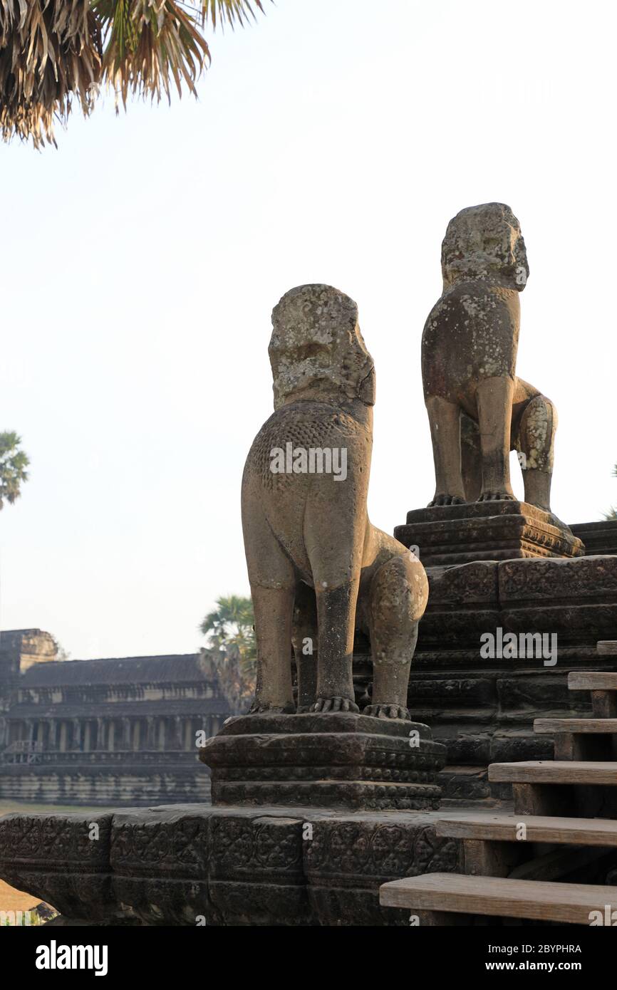 Cambodian animals hi-res stock photography and images - Alamy