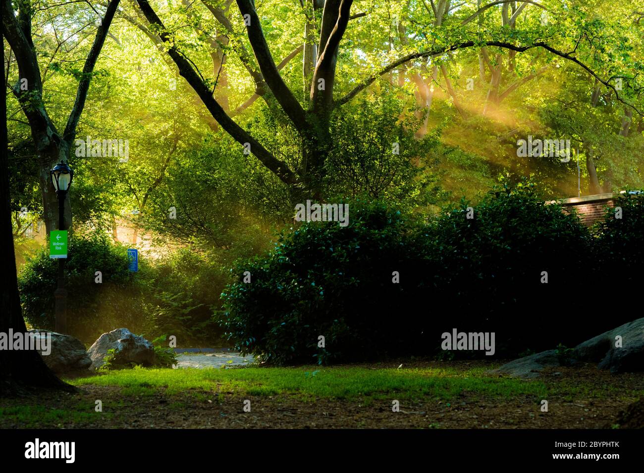 Beautiful parks, sun-rays reflects on trees Stock Photo - Alamy