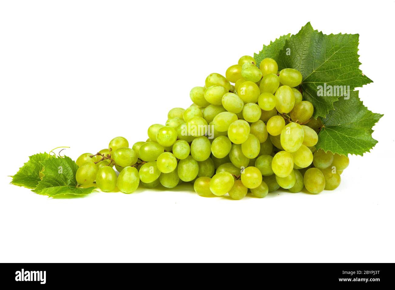 Close up shot grapes hanging hi-res stock photography and images - Alamy