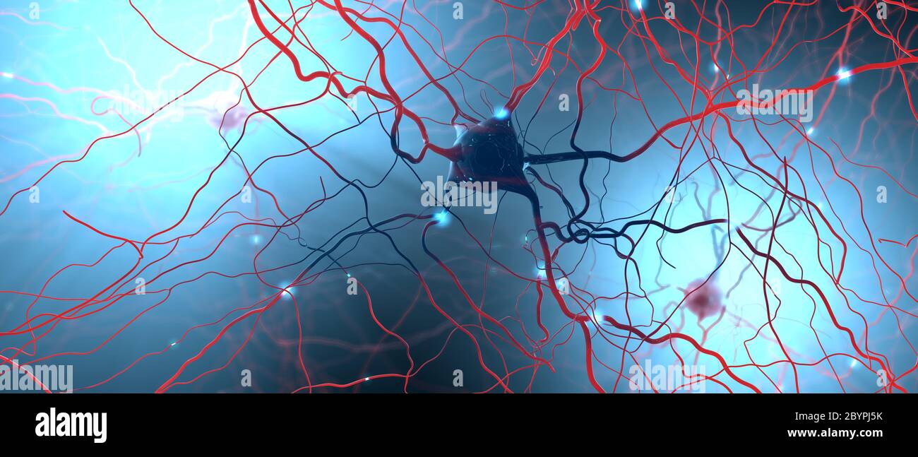 Signal transmitting neurons or nerve cells- 3d illustration Stock Photo ...