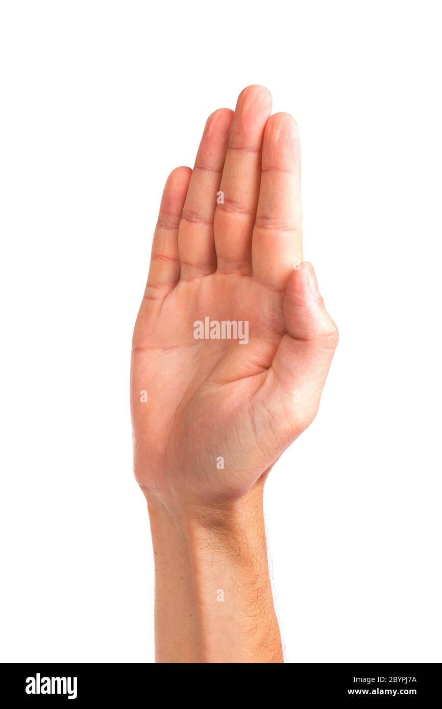 Male palm hand gesture, isolated on white Stock Photo - Alamy