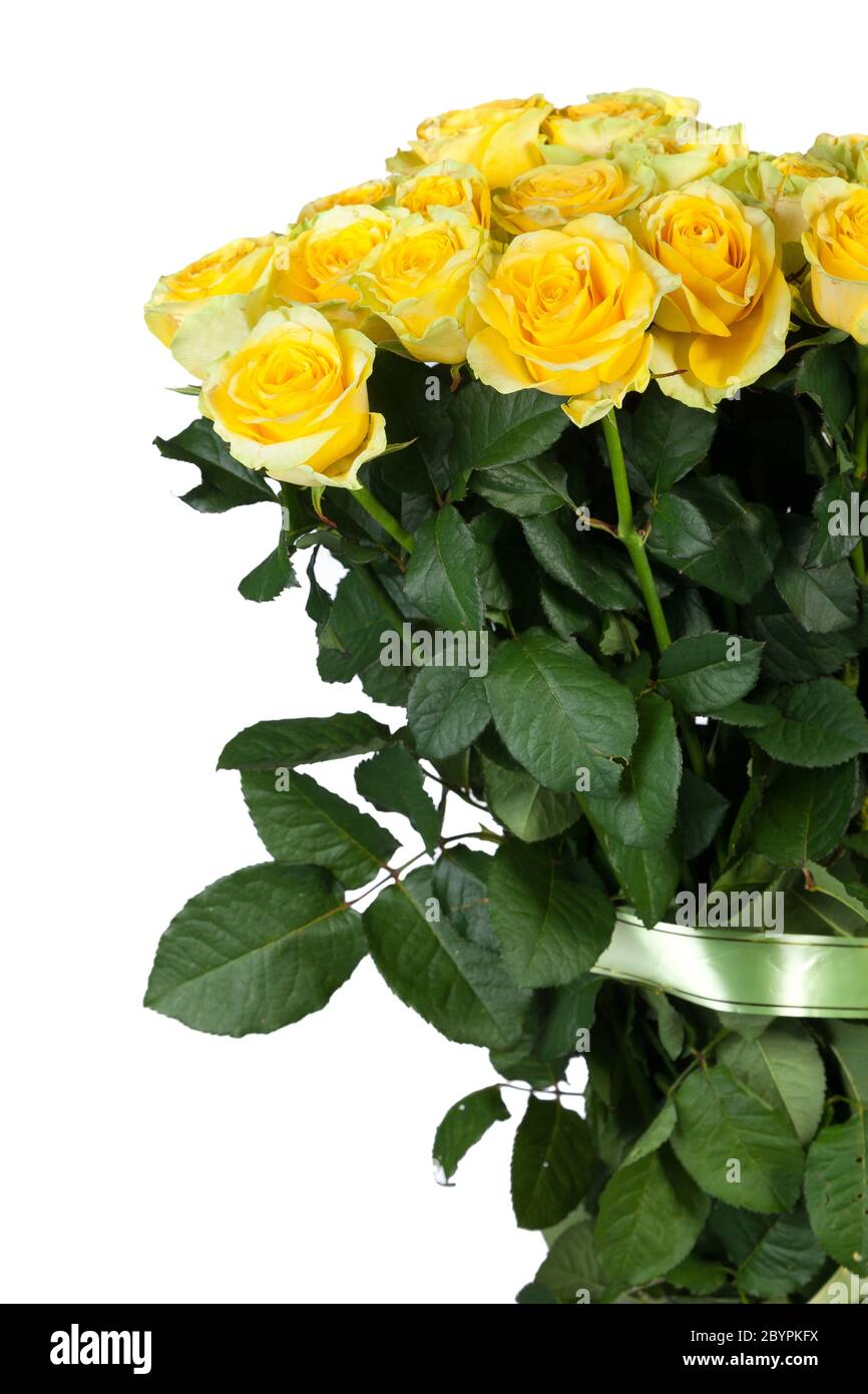 Group of fresh yellow roses Stock Photo - Alamy