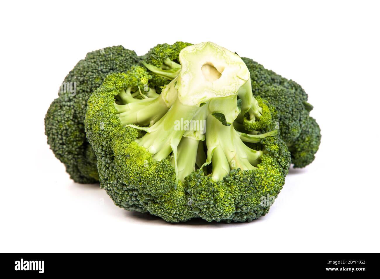 Single broccoli cut out hi-res stock photography and images - Alamy