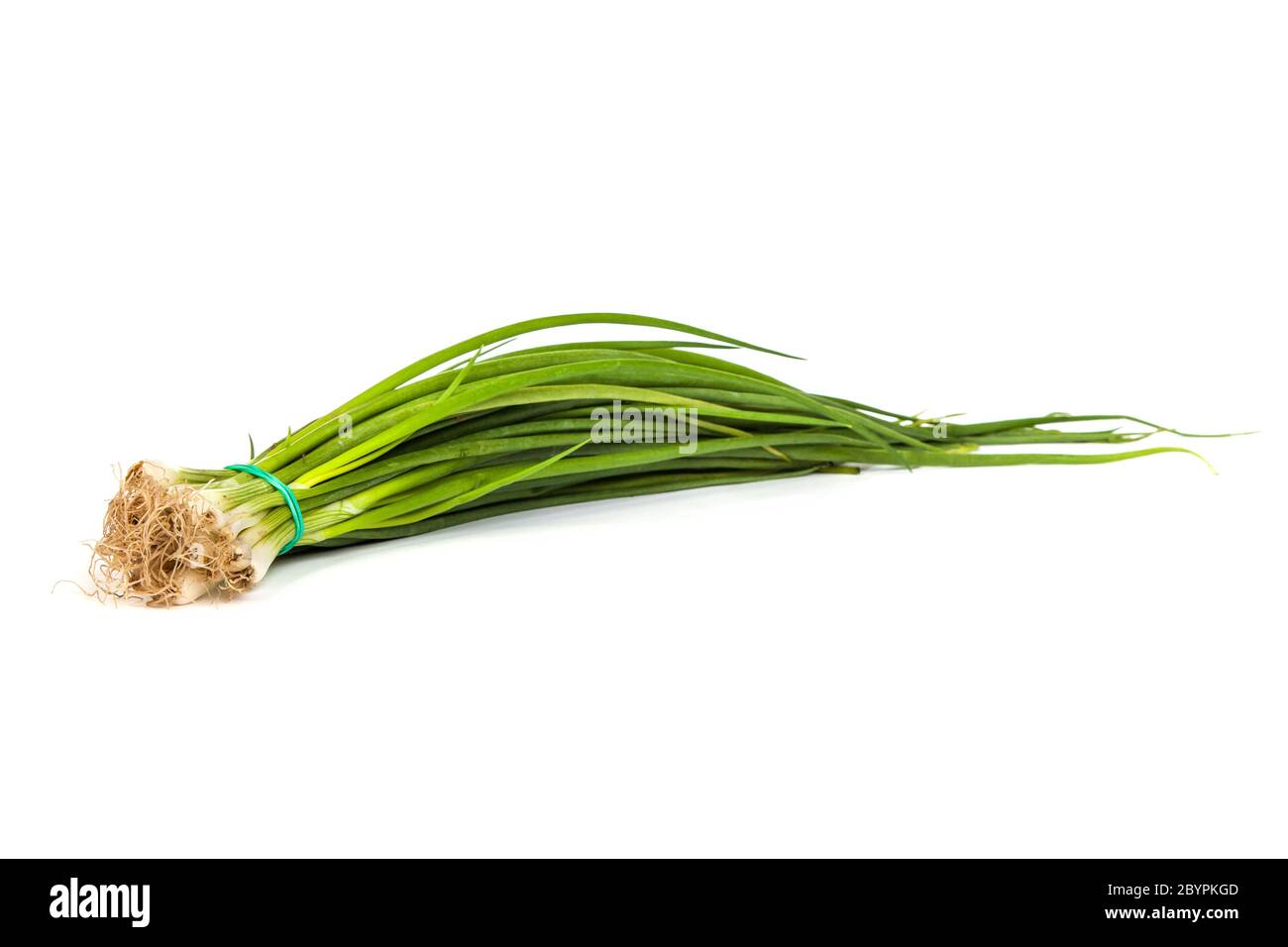 Scallions three hi-res stock photography and images - Alamy