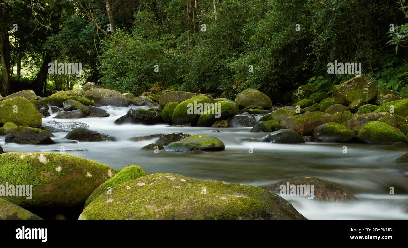 Water stream flowing through river channel Stock Photo - Alamy