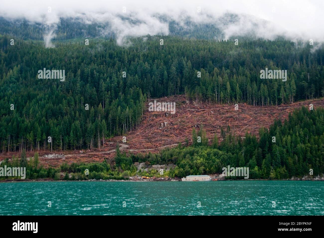Logging camp canada hi-res stock photography and images - Alamy
