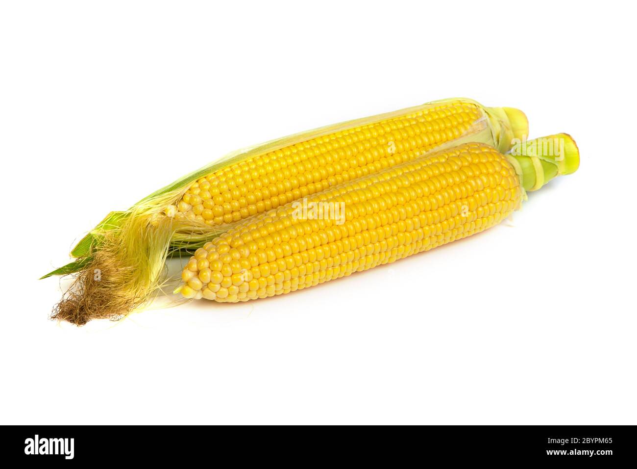Fresh uncooked corn on the cob Stock Photo - Alamy