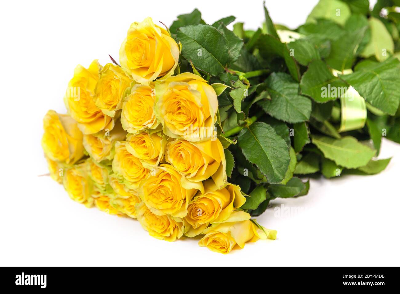Group of fresh yellow roses Stock Photo - Alamy