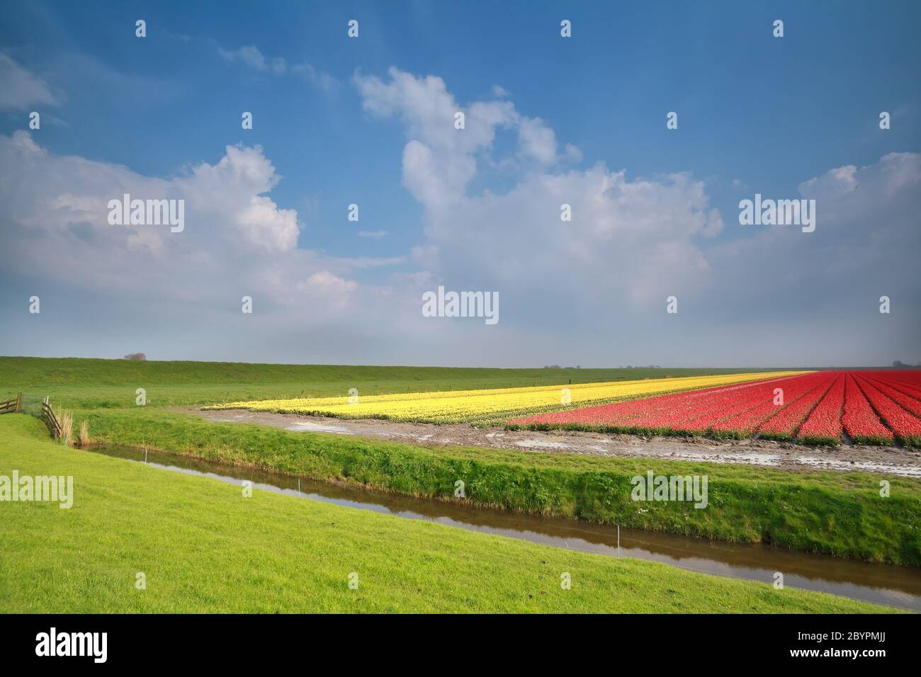 Sunlight fields hi-res stock photography and images - Alamy