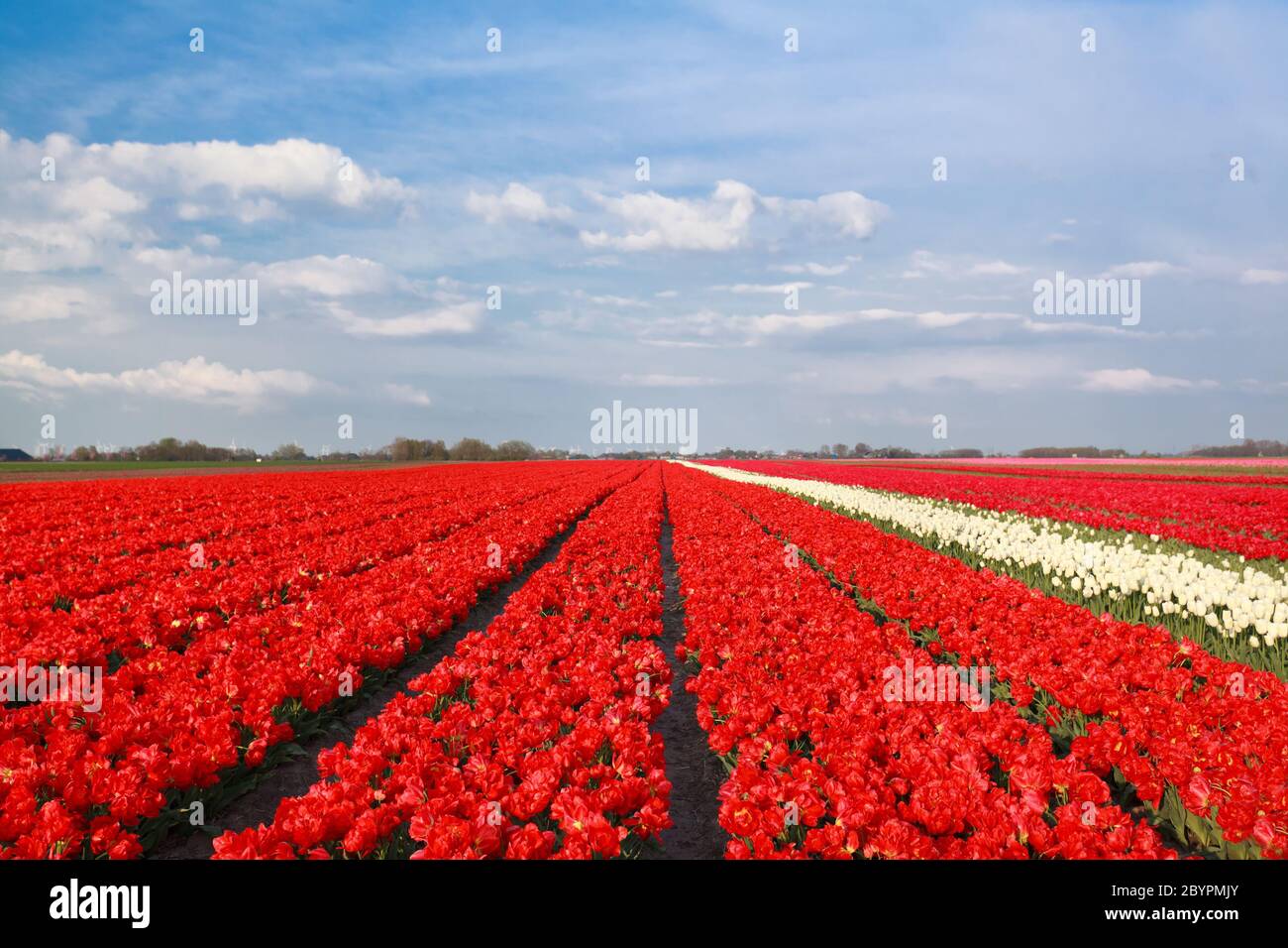 Red sky field hi-res stock photography and images - Alamy