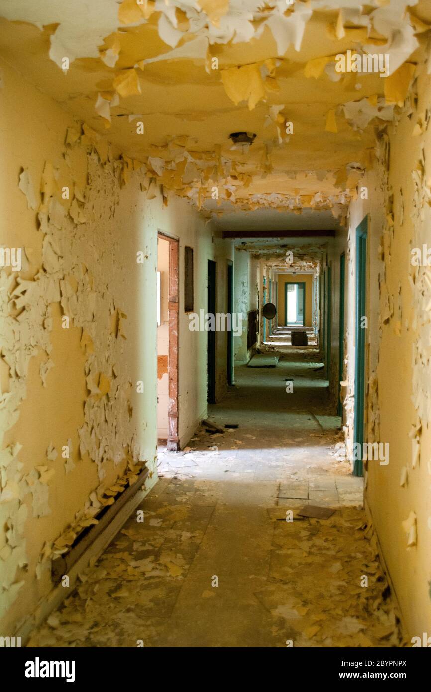Peeling paint in the hallway of the abandoned Martin Inn Hotel in the ...