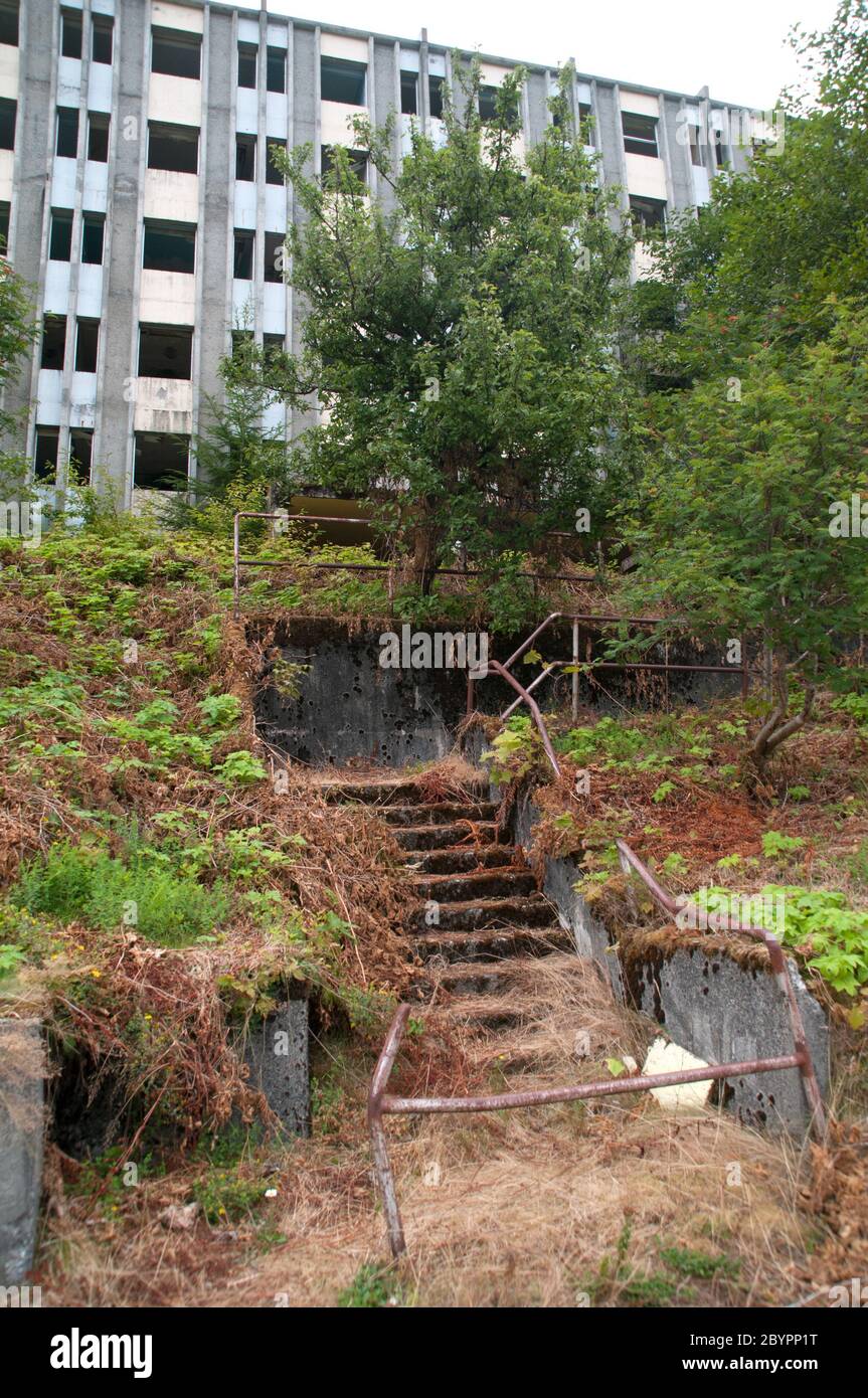 An abandoned apartment building entrance covered in foliage in the ...