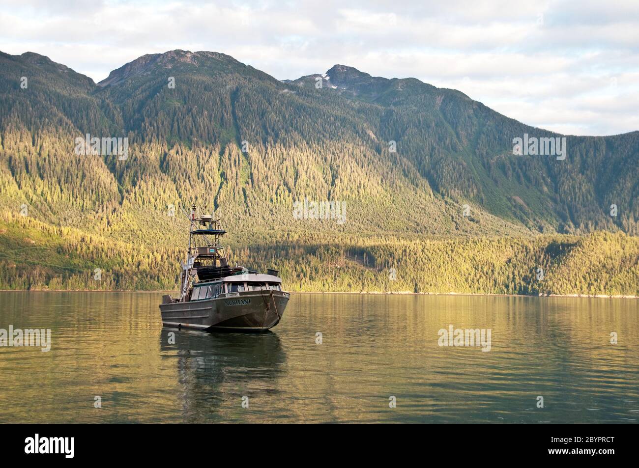 A 40 foot jet boat anchored in a calm pacific ocean inlet in the Great ...