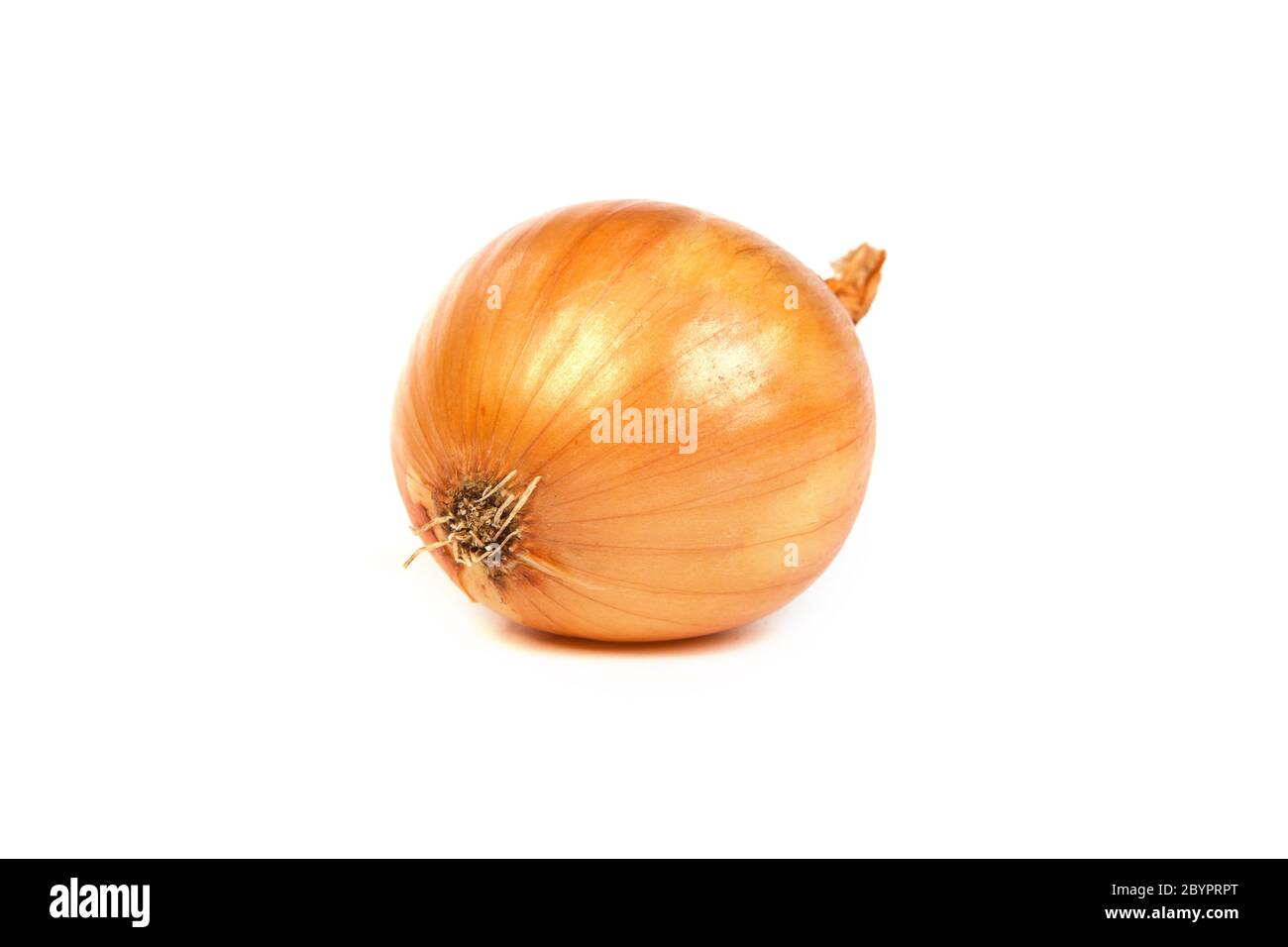 One onion, isolated on white Stock Photo - Alamy