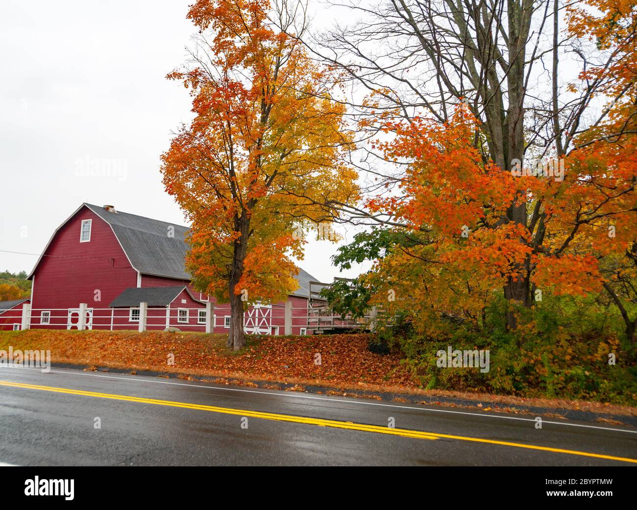 Traditional American style red barn from passing highway in fall with ...