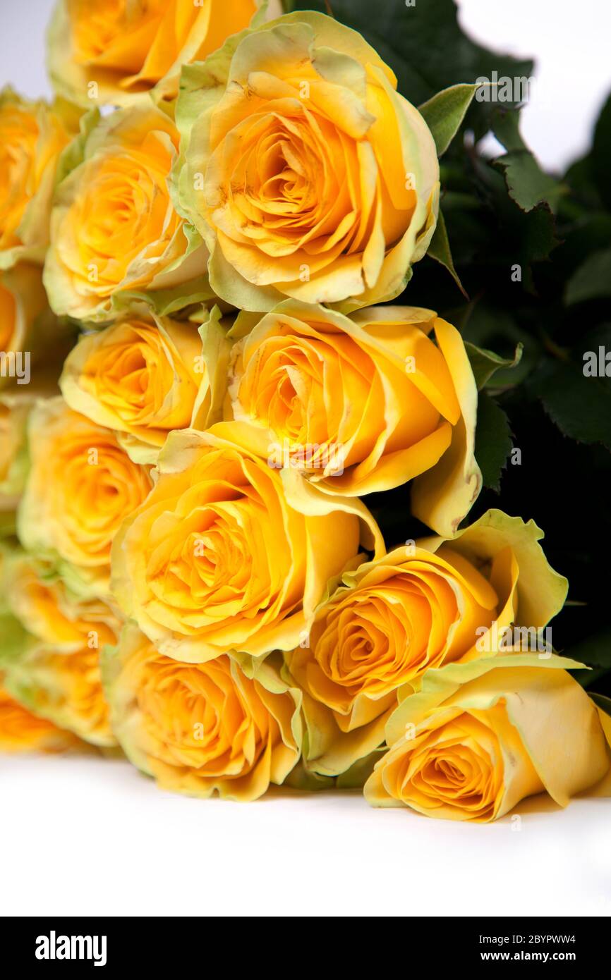 Group of fresh yellow roses Stock Photo - Alamy