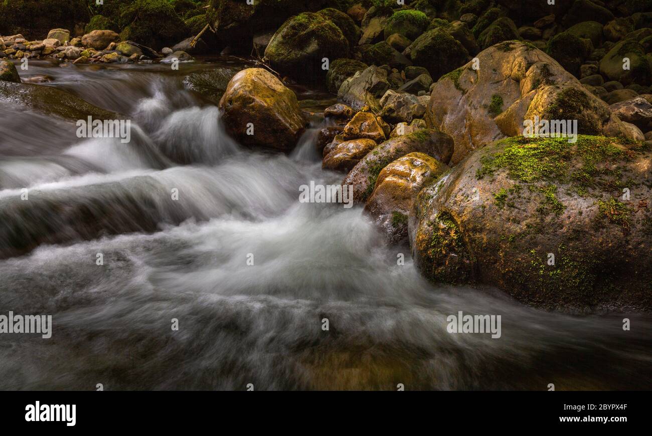 Riverbank with stones hi-res stock photography and images - Alamy