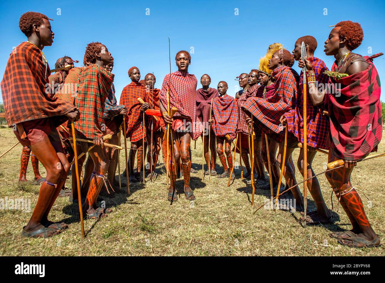 Group of young Masai warriors in traditional clothes and weapons are ...