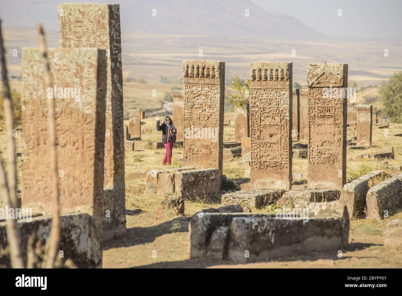 Tombstones of seljuks in Ahlat turkey Stock Photo - Alamy