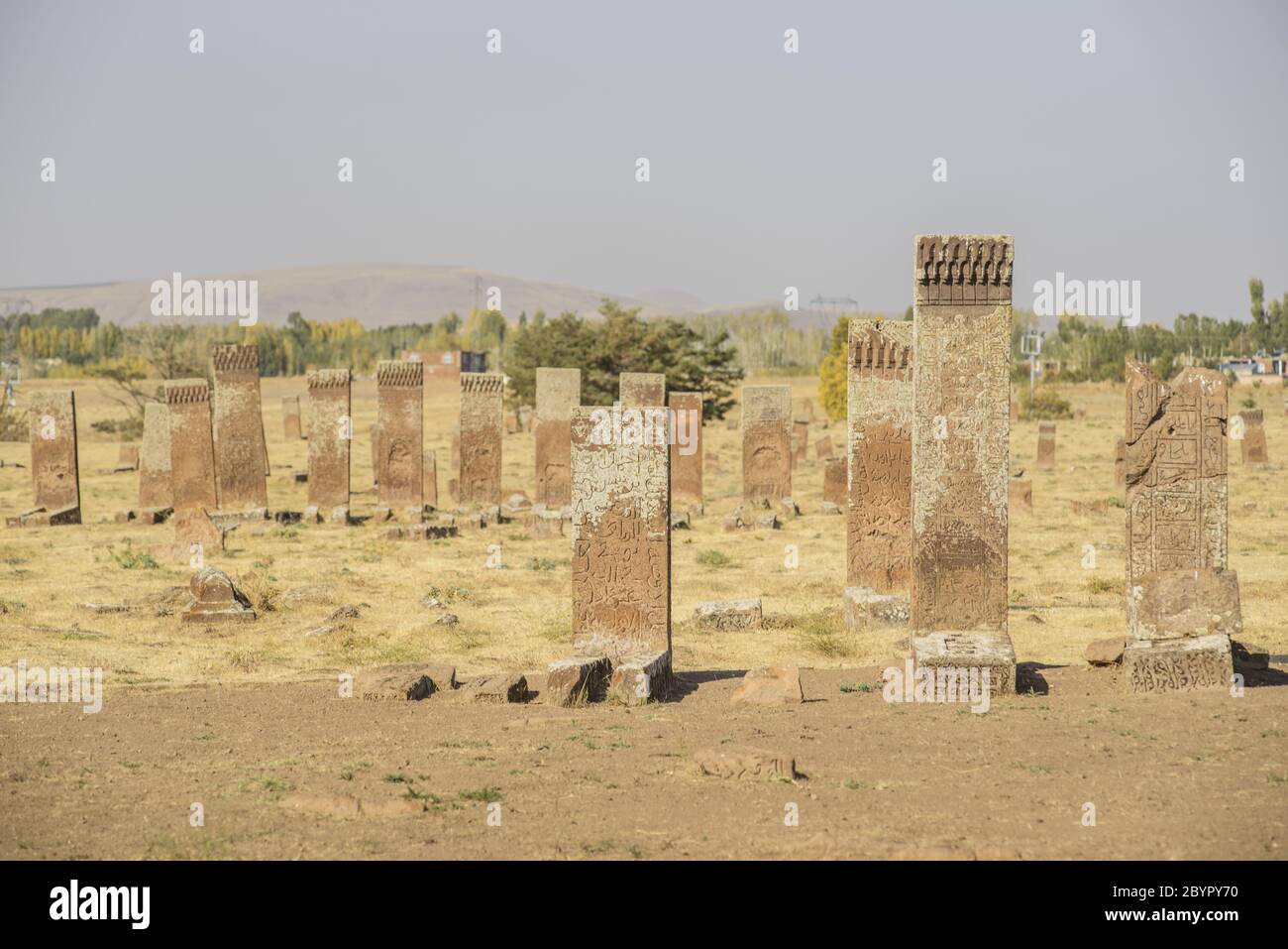 Tombstones of seljuks in Ahlat turkey Stock Photo - Alamy