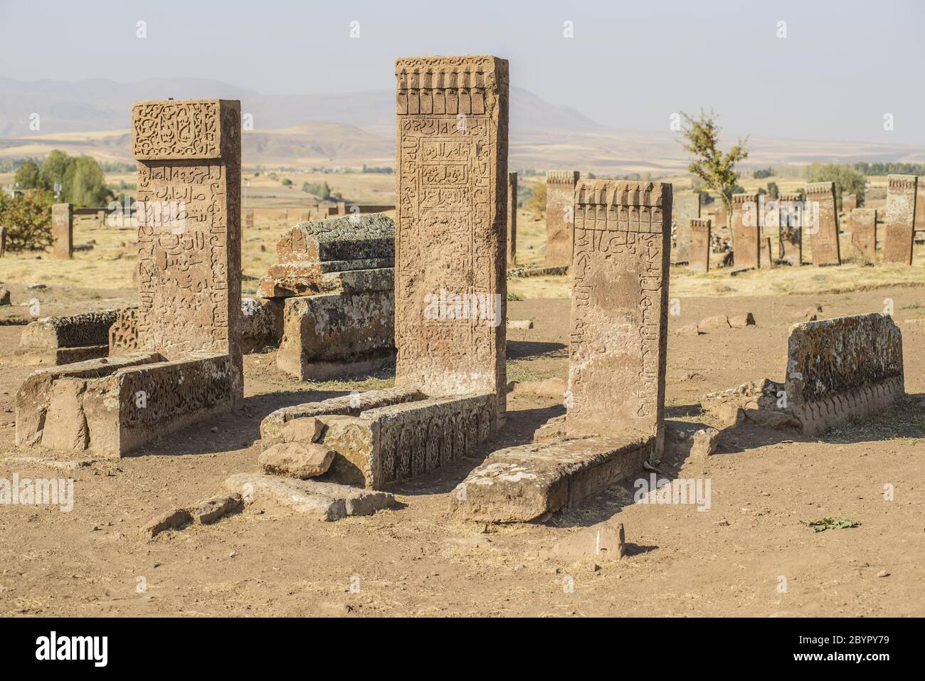 Tombstones of seljuks in Ahlat turkey Stock Photo - Alamy