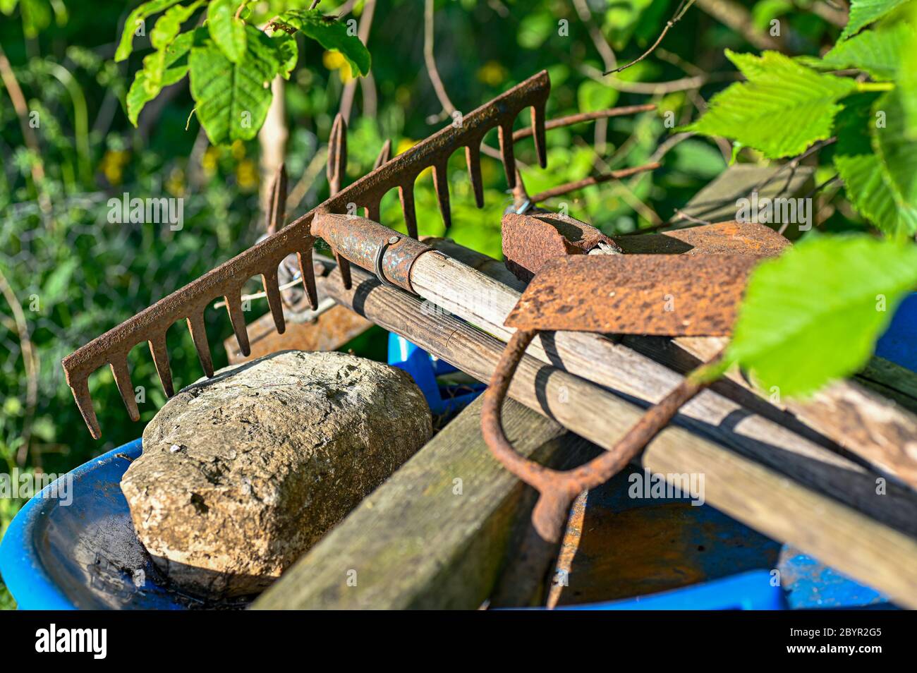 old rake and other gardening tools in a garden Stock Photo - Alamy