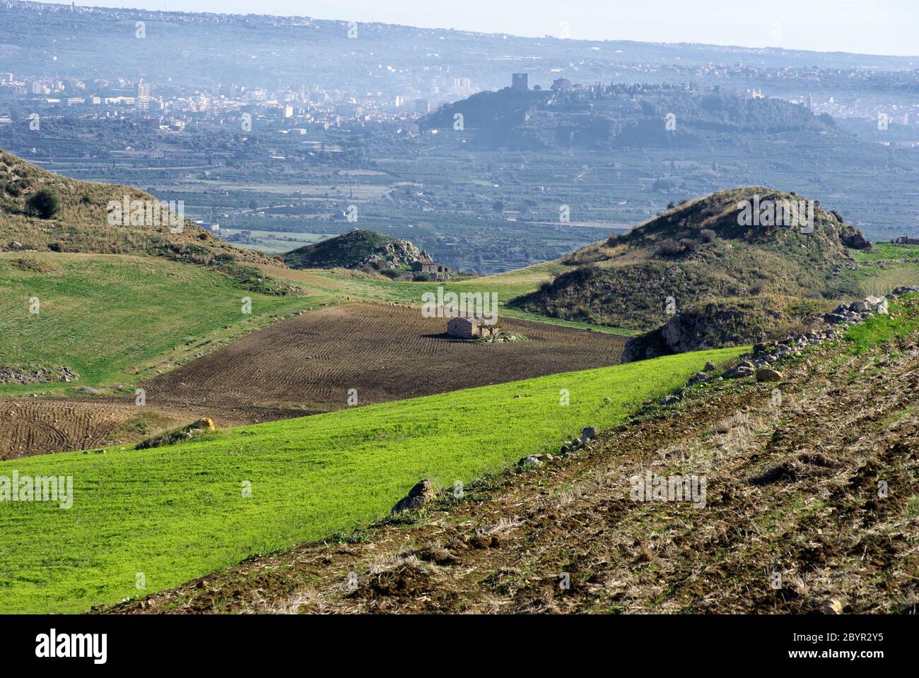 rural landscape in Sicily of abandoned house and alone tree on plowed ...