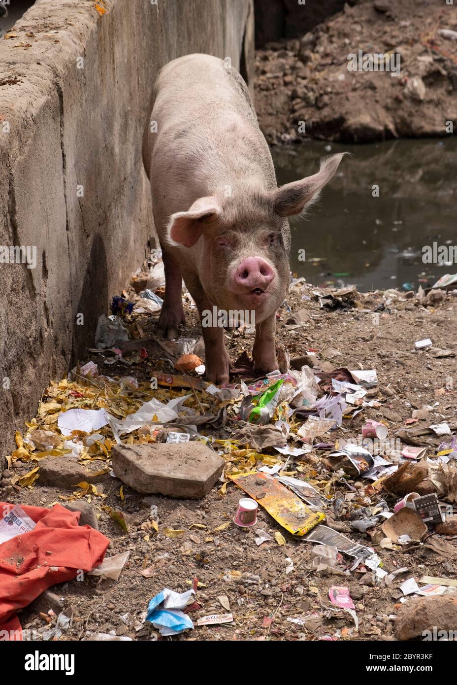 Aurangabad city hi-res stock photography and images - Alamy