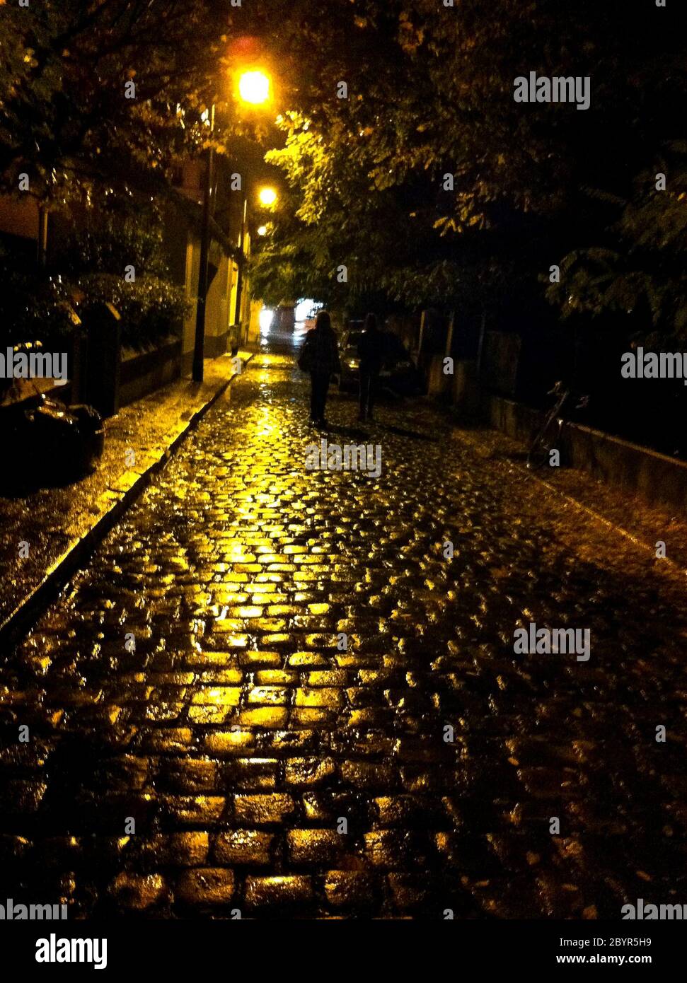 Small cobbled passage in a golden light, Paris, France Stock Photo - Alamy