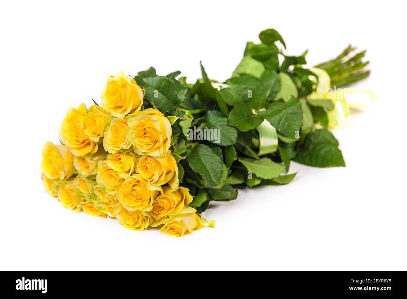 Group of fresh yellow roses Stock Photo - Alamy