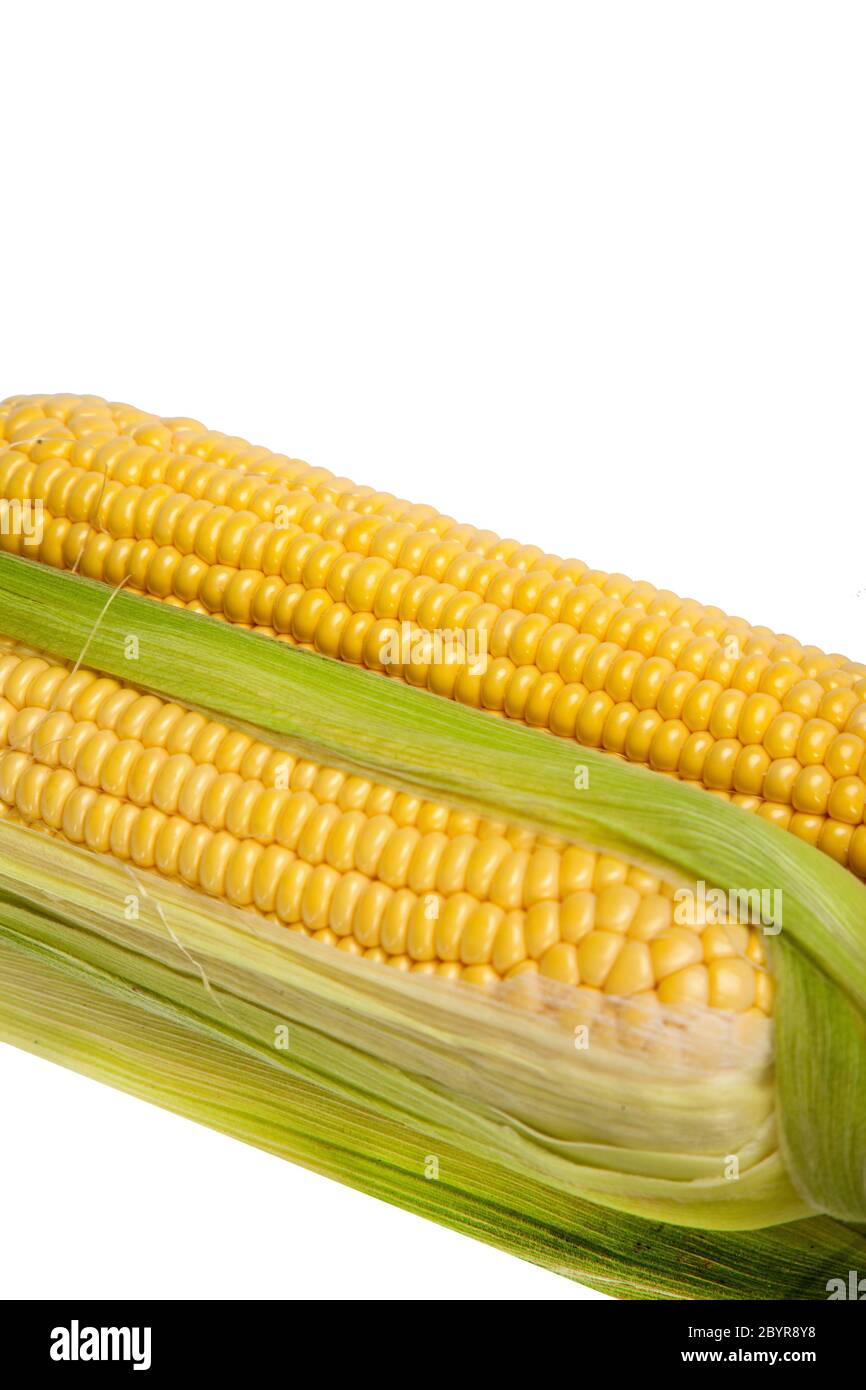 Fresh uncooked corn on the cob Stock Photo - Alamy