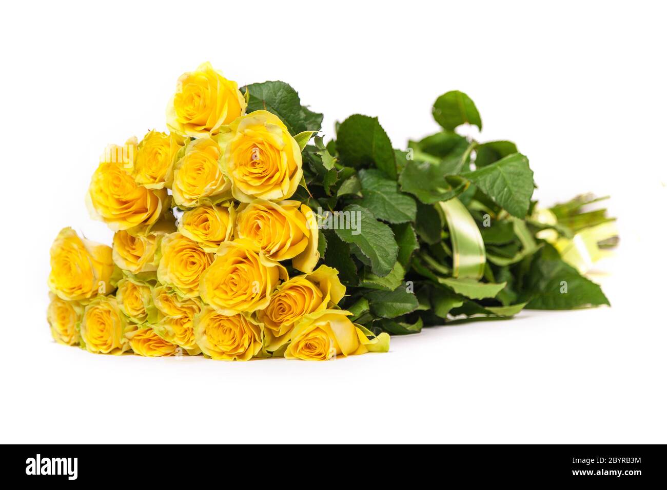 Group of fresh yellow roses Stock Photo - Alamy