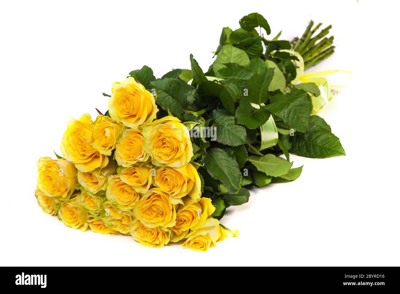 Group of fresh yellow roses Stock Photo - Alamy