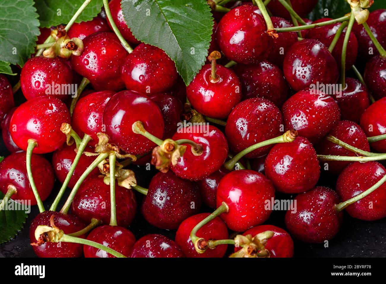 Close up of pile of ripe cherries with stalks and leaves. Large ...