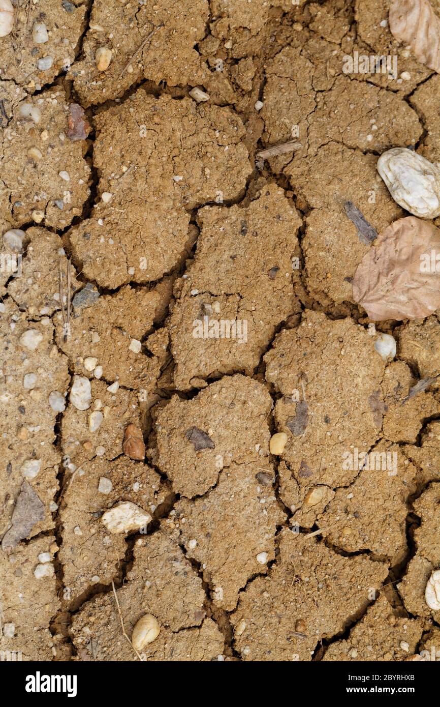 Infield grass hi-res stock photography and images - Alamy