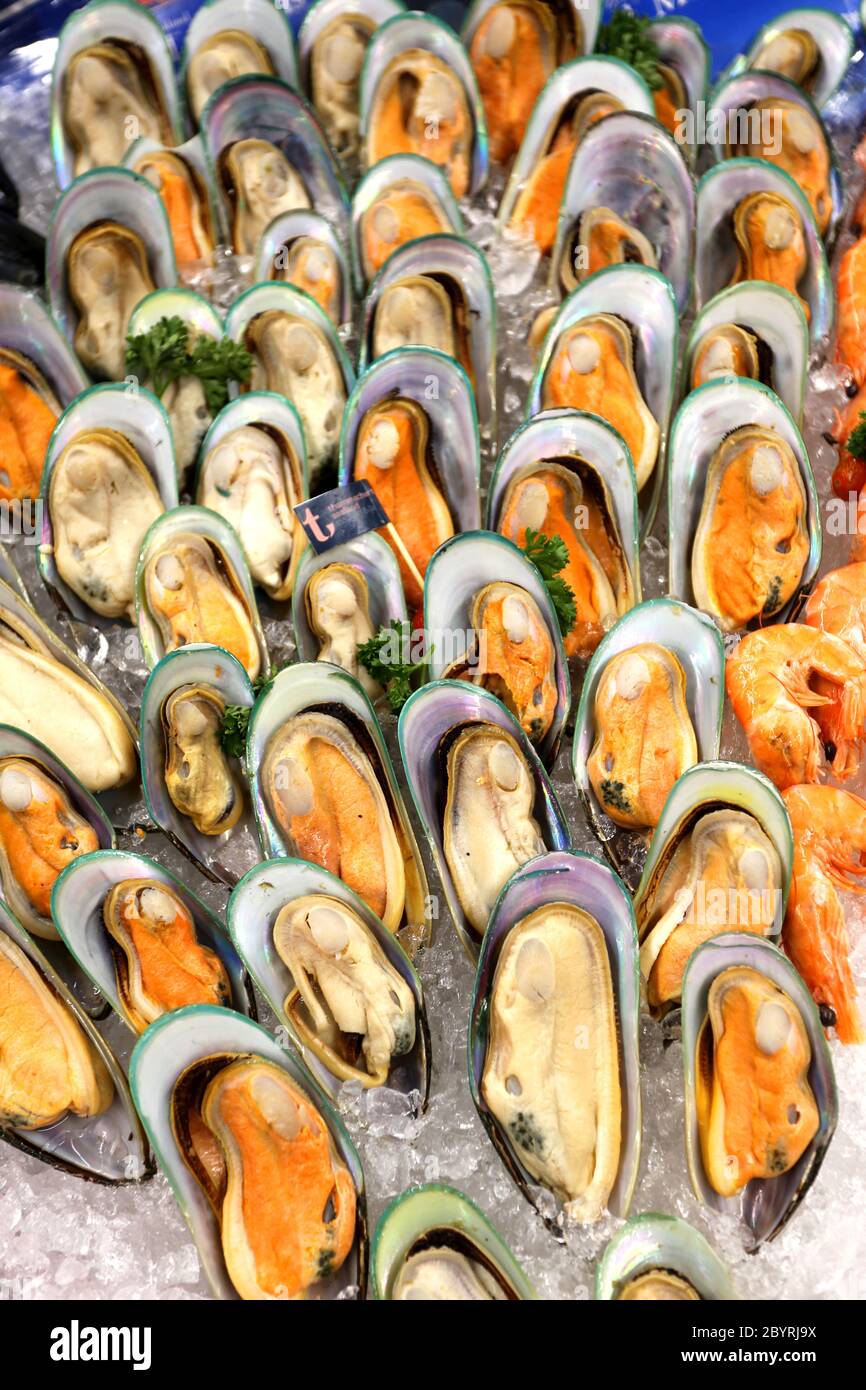 Open mussel shells hi-res stock photography and images - Alamy