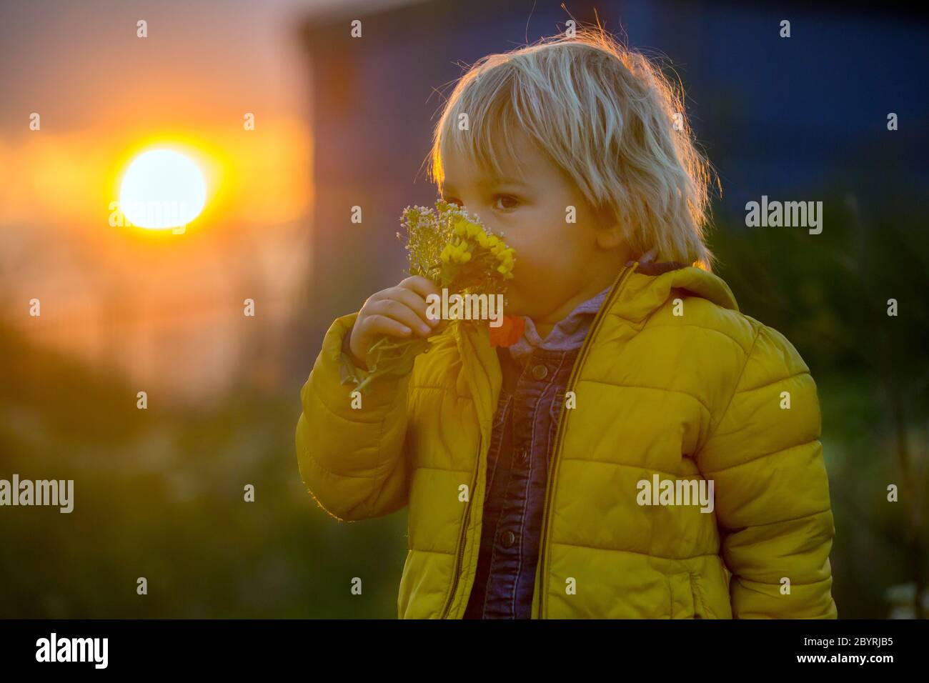 Little child, boy holding poppy on sunset picture taken through a glass ...