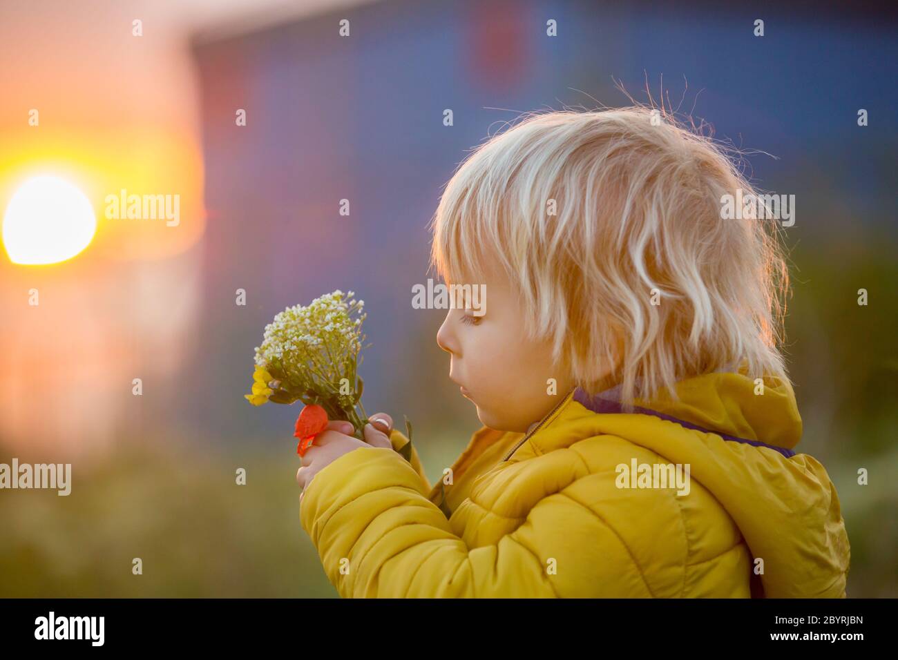 Little child, boy holding poppy on sunset picture taken through a glass ...