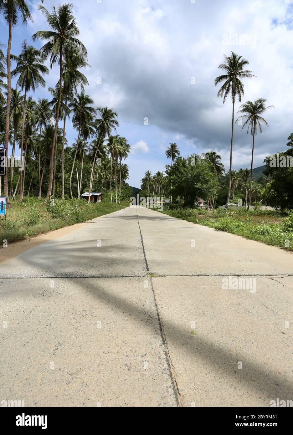 Jungle roadway hi-res stock photography and images - Alamy