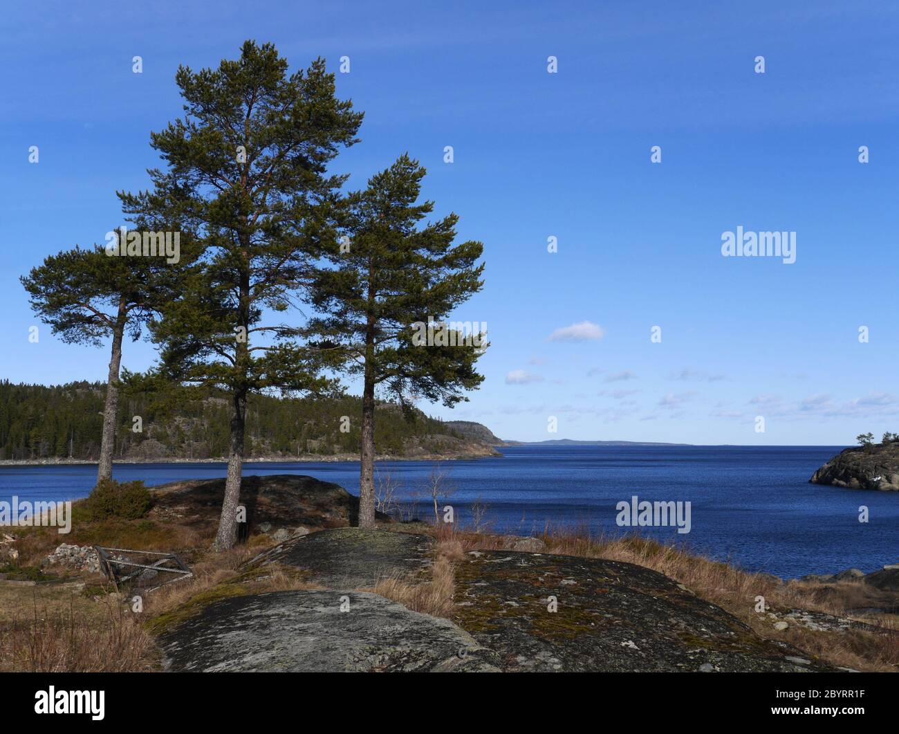 high coast in sweden Stock Photo - Alamy