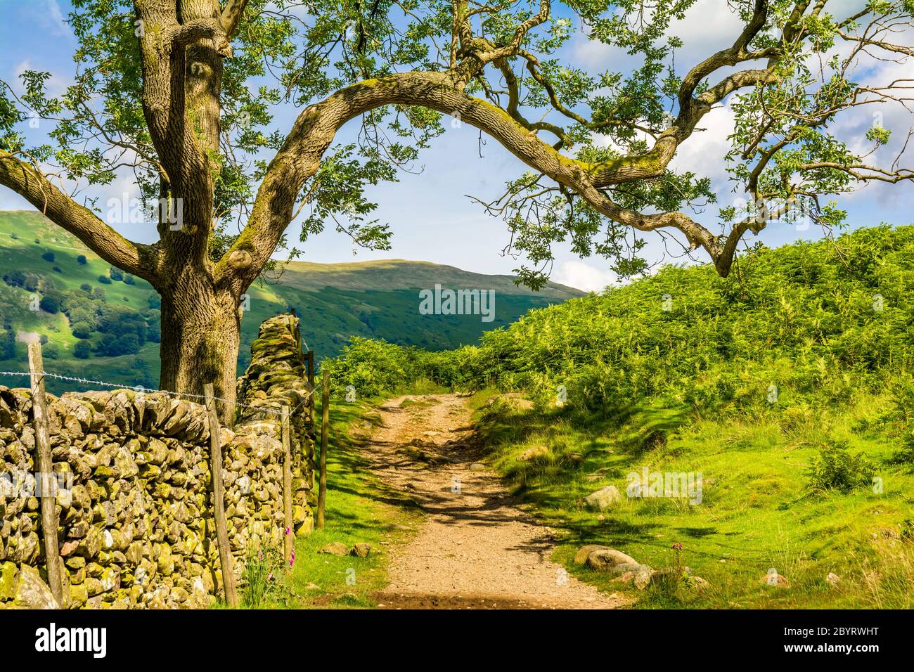 Farming pathway hi-res stock photography and images - Alamy