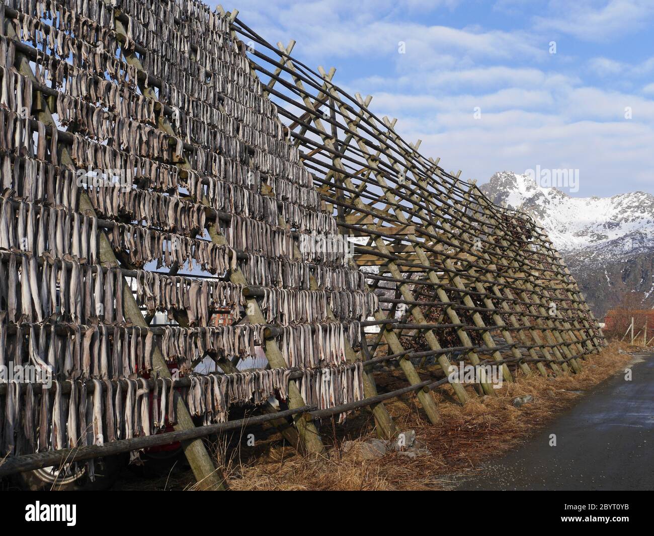 stockfish, dried cod Stock Photo - Alamy
