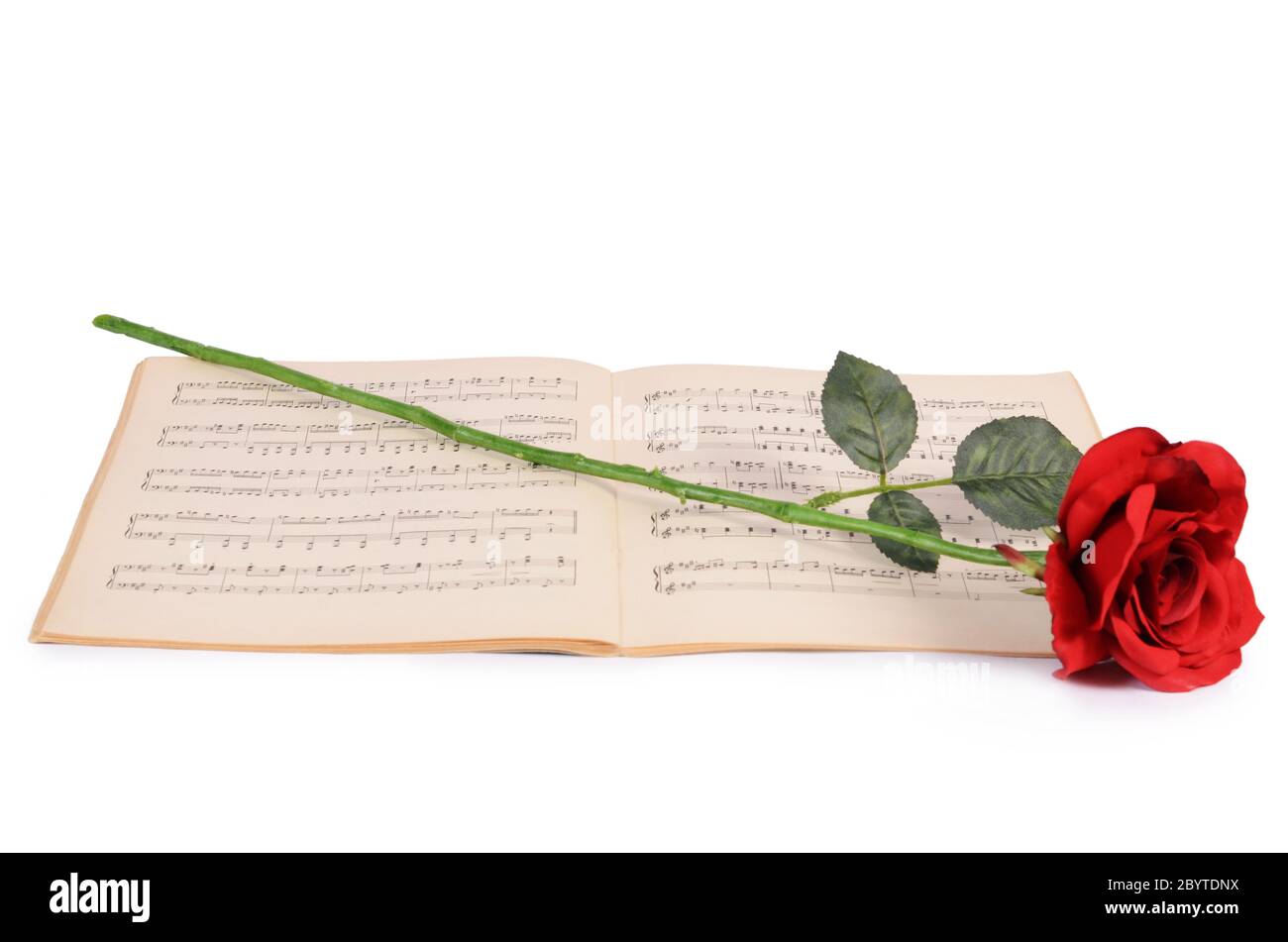 The rose on notebooks with notes Stock Photo - Alamy