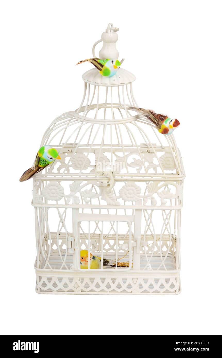 Beautiful carved cage with birds isolated Stock Photo - Alamy