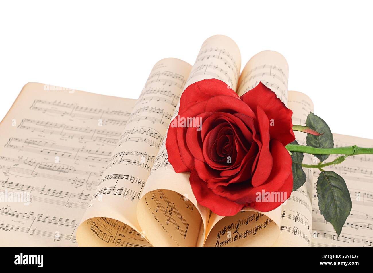 The rose on notebooks with notes Stock Photo - Alamy